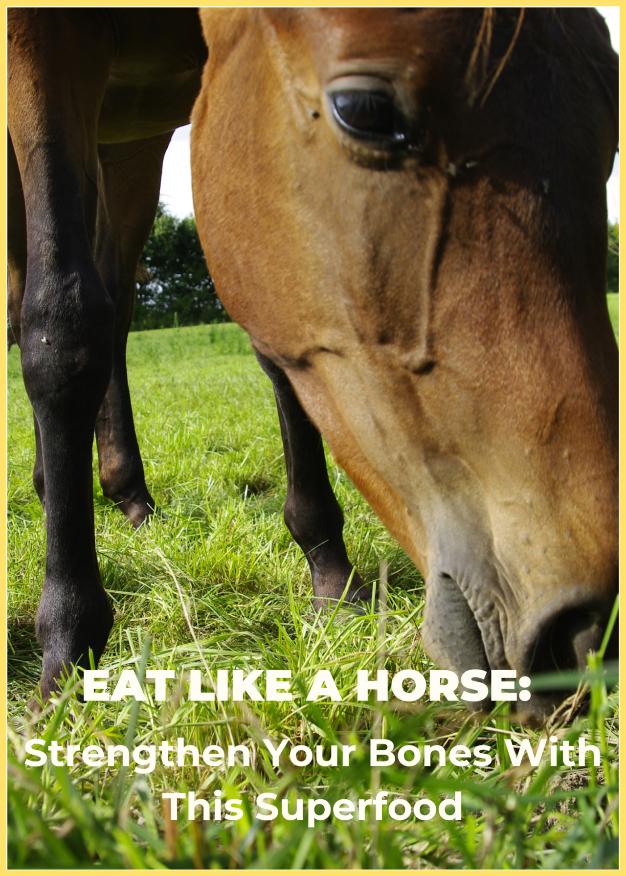 Eat Like a Horse: Strengthen Your Bones With This Superfood