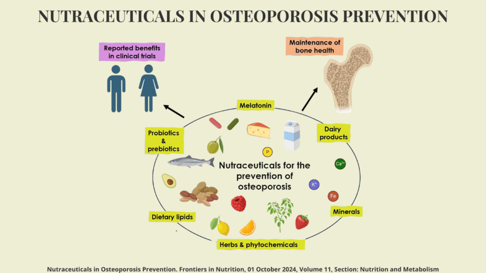 Nutraceuticals for Stronger Bones: How Nature’s Compounds Can Help ...